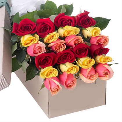2 Dozen Assorted Color Roses in a Box d3286 | Flowers & Gifts for ...